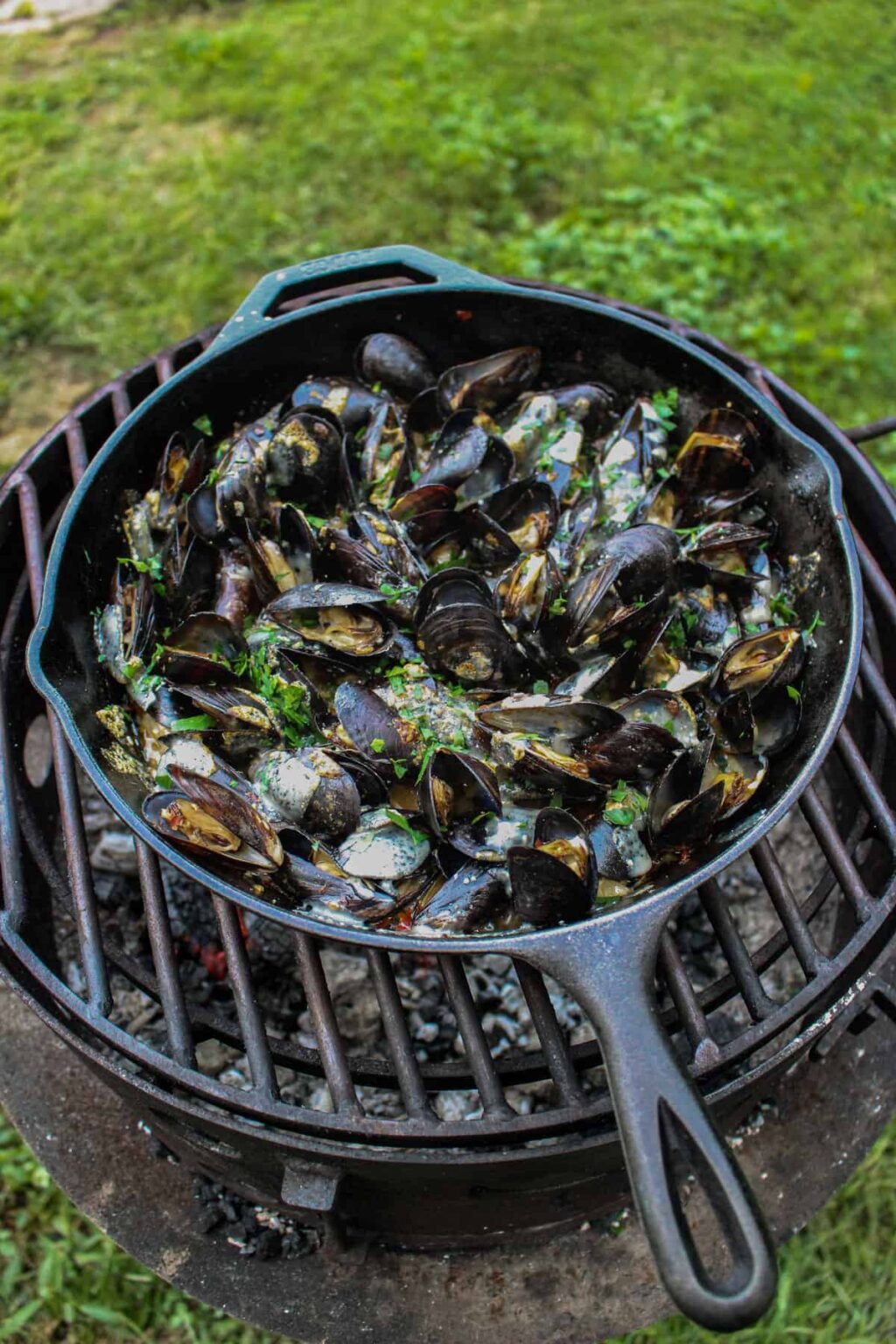 Parmesan Garlic Butter Mussels - Over The Fire Cooking