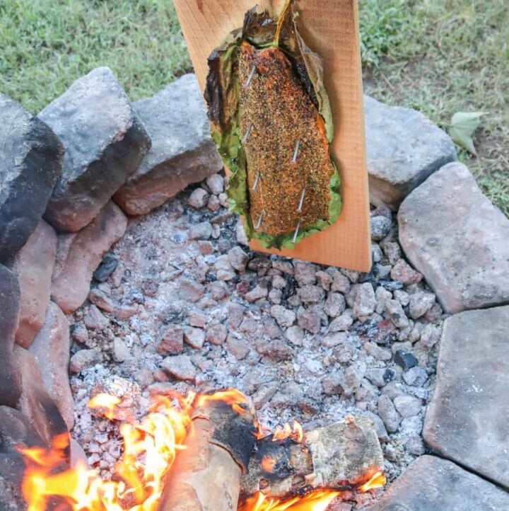 Best Salmon Recipes - Over The Fire Cooking