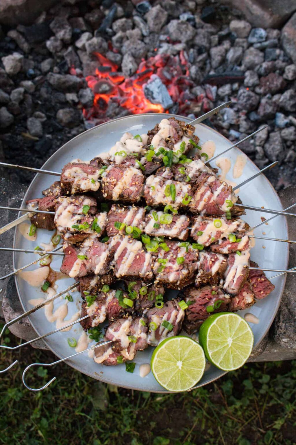 Beef Shawarma - Over The Fire Cooking