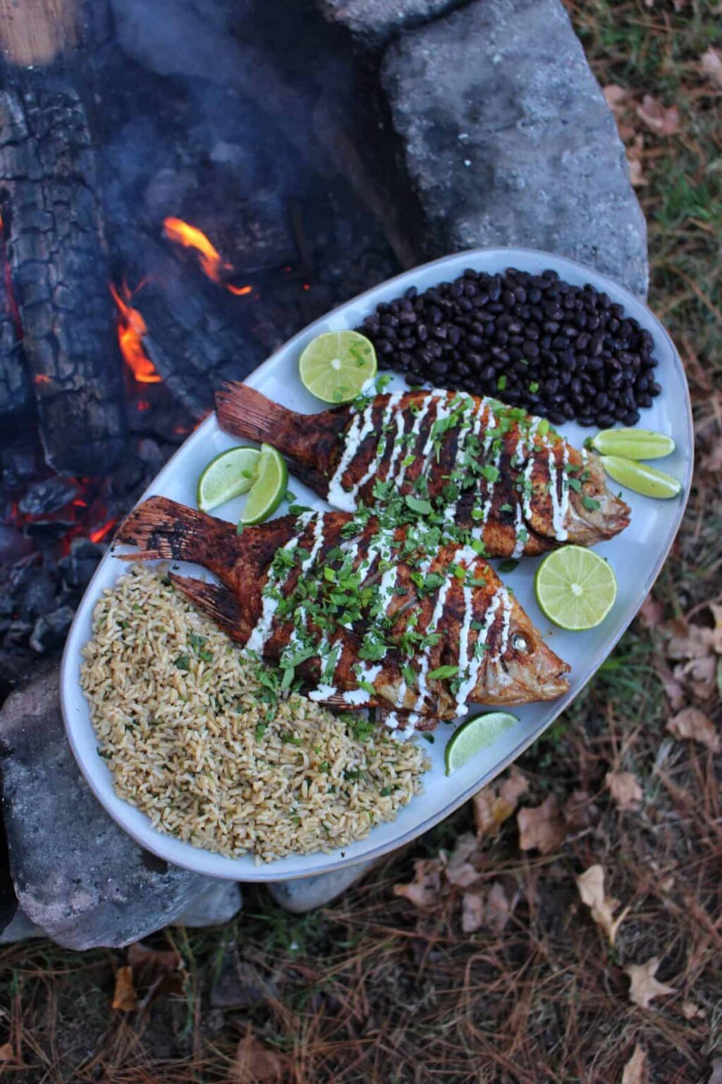 Fried Adobo Honey Fish - Over The Fire Cooking