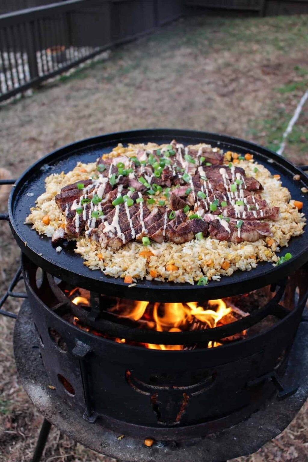 Steak Fried Rice - Over The Fire Cooking
