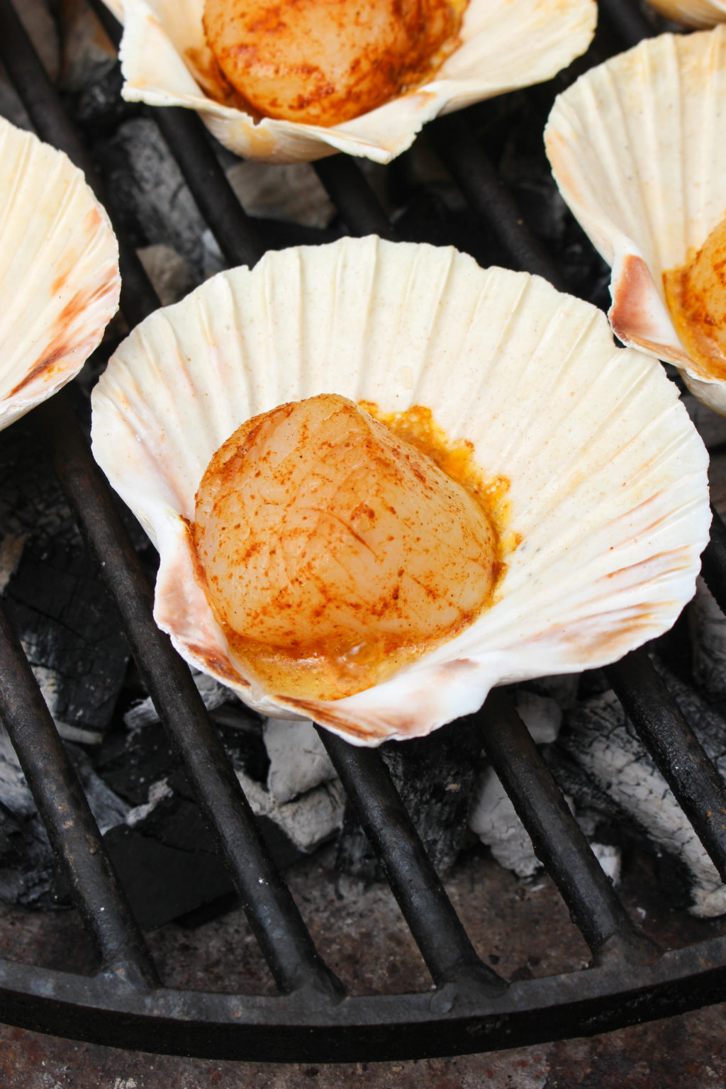 Grilled Scallops in the Shell - Over The Fire Cooking