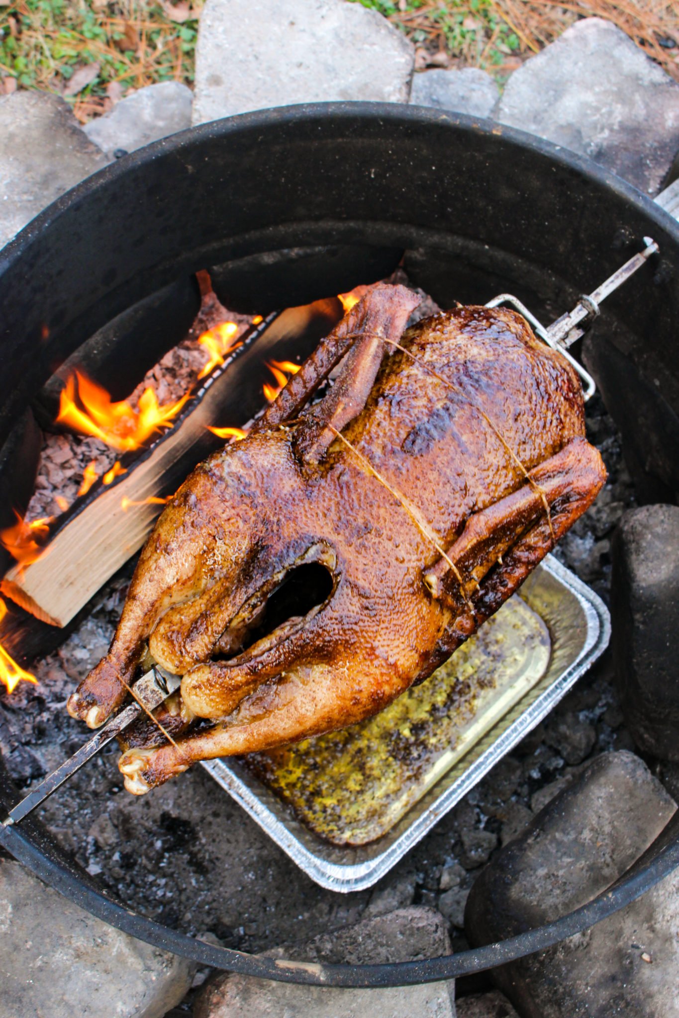 Holiday Rotisserie Goose - Over The Fire Cooking