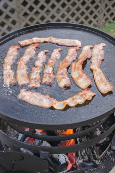 Grilled Cheese BBQ Cheeseburger - Over The Fire Cooking