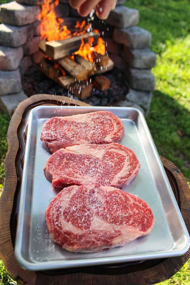 Steaks on a Rock - Over The Fire Cooking