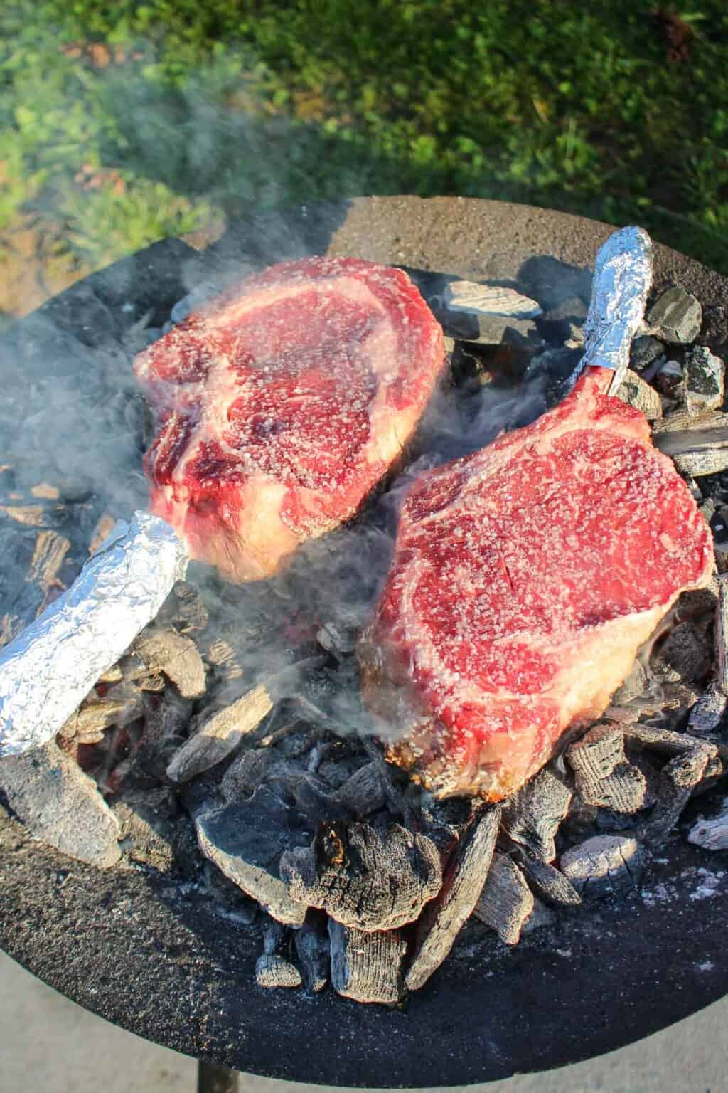Steaks on the Coals - Over The Fire Cooking
