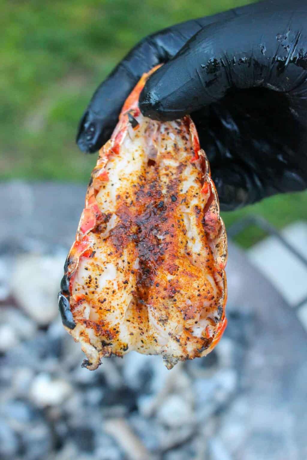 Steaks on the Coals - Over The Fire Cooking