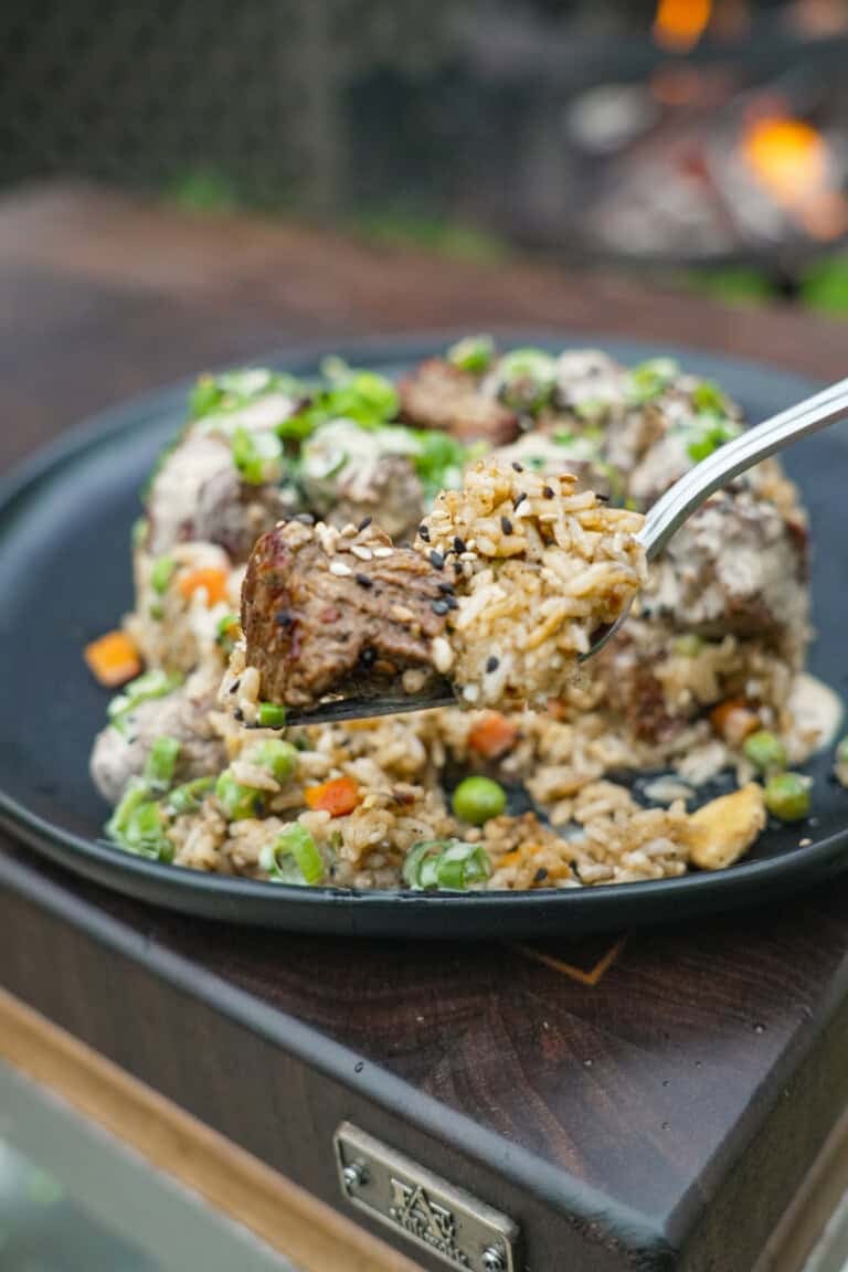 Steak Fried Rice - Over The Fire Cooking