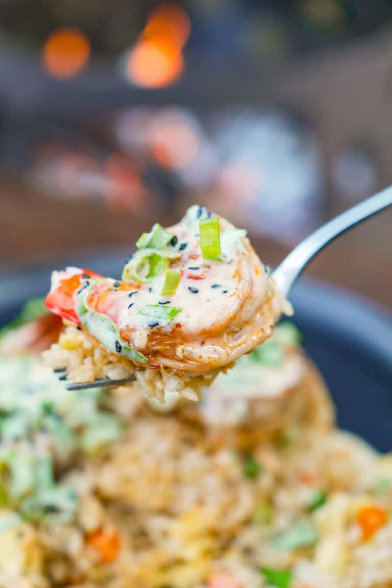 Shrimp Fried Rice - Over The Fire Cooking
